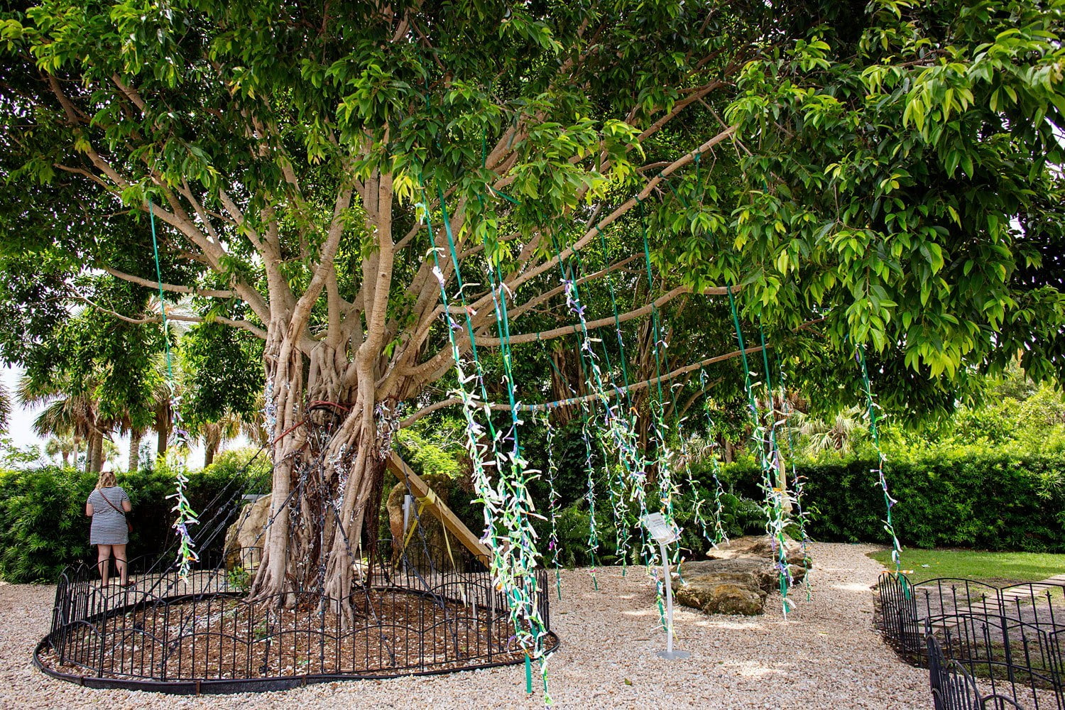 A Day Date at the Dalí Museum in St. Pete