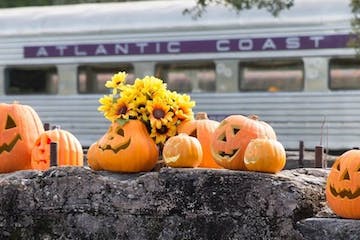 Wesley Chapel's Best Pumpkin Patches
