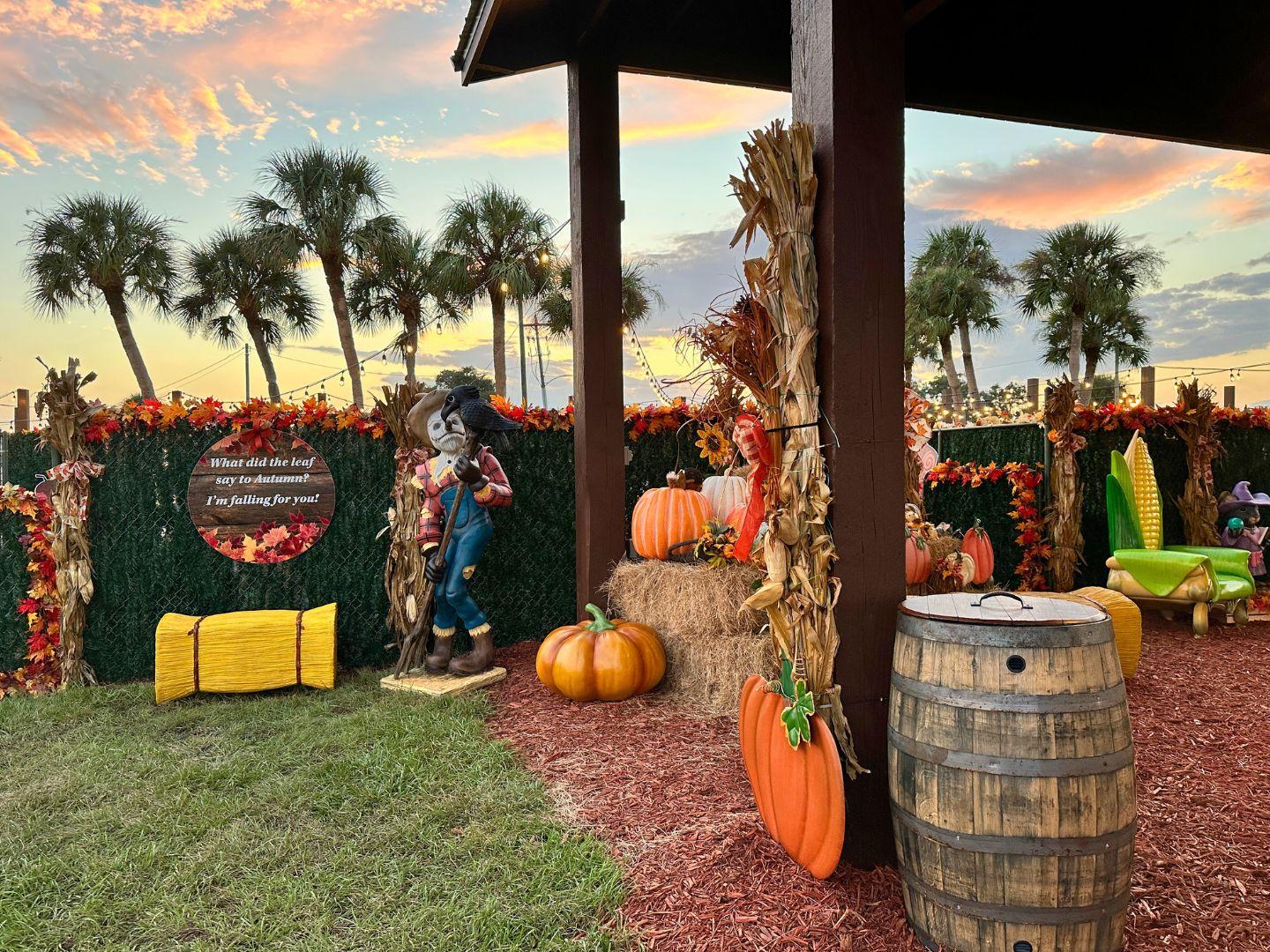 Tampa Bay's Best Fall Festivals