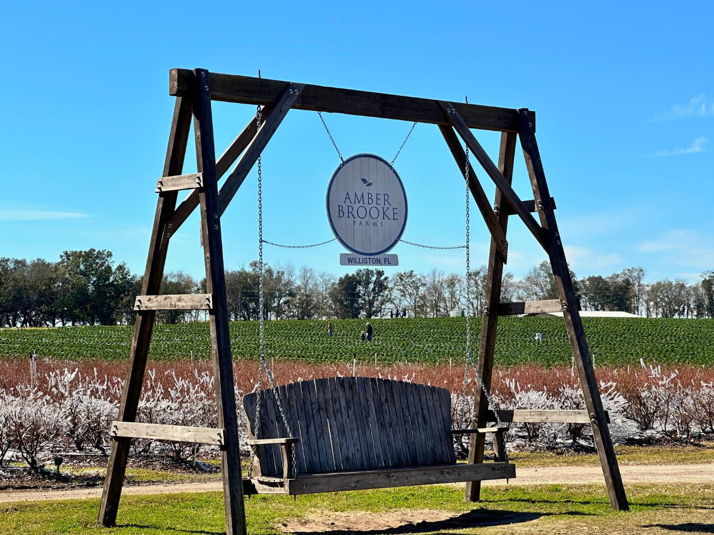 Amber Brooke Farms Williston: Romantic Day Trip Review