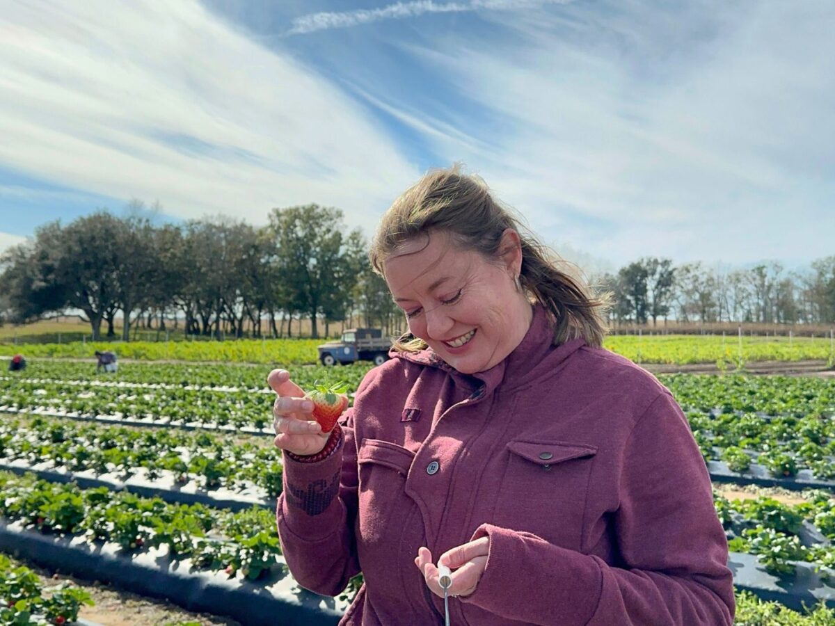 Amber Brooke Farms Williston: Romantic Day Trip Review